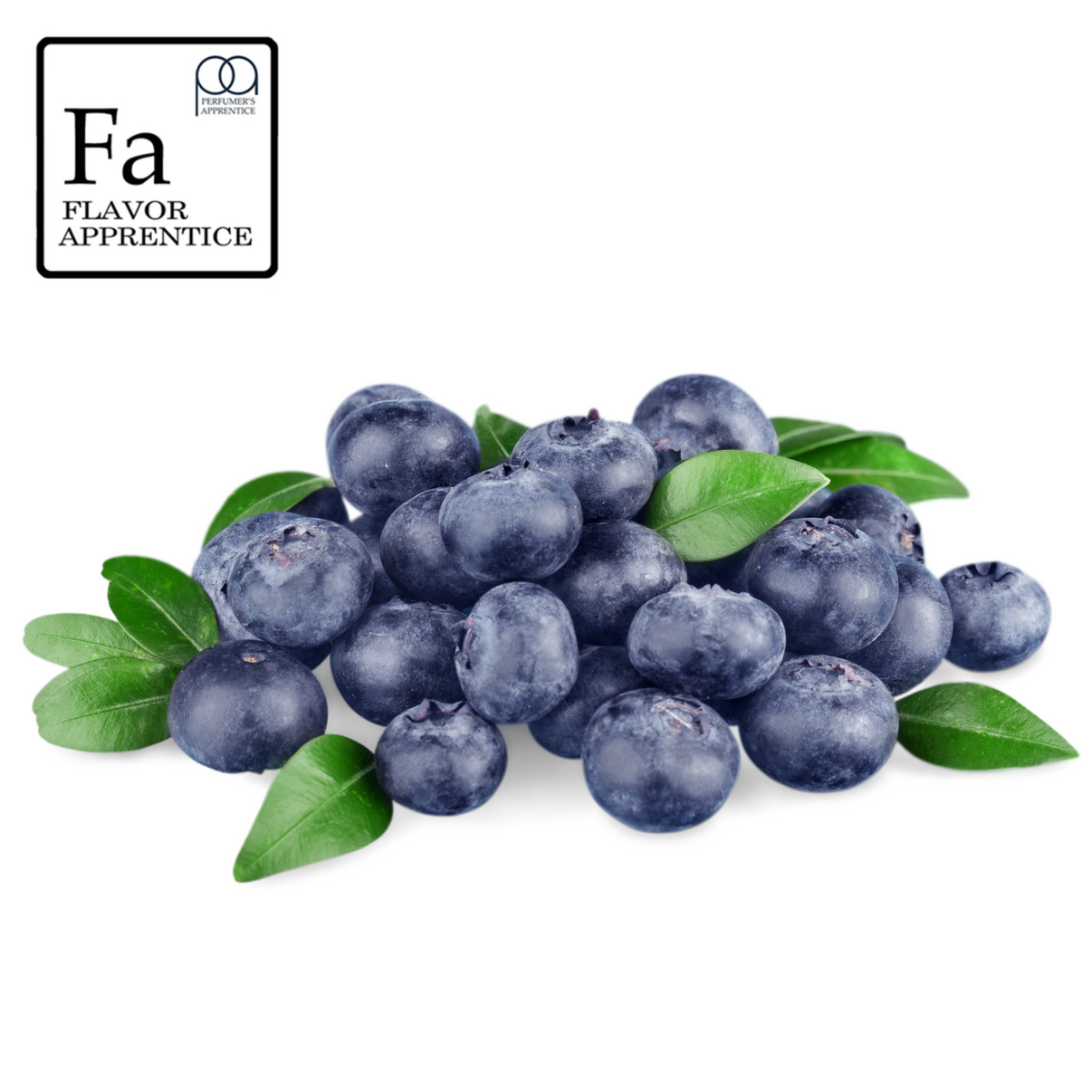TFA Blueberry (Extra) – Flavour Foundry